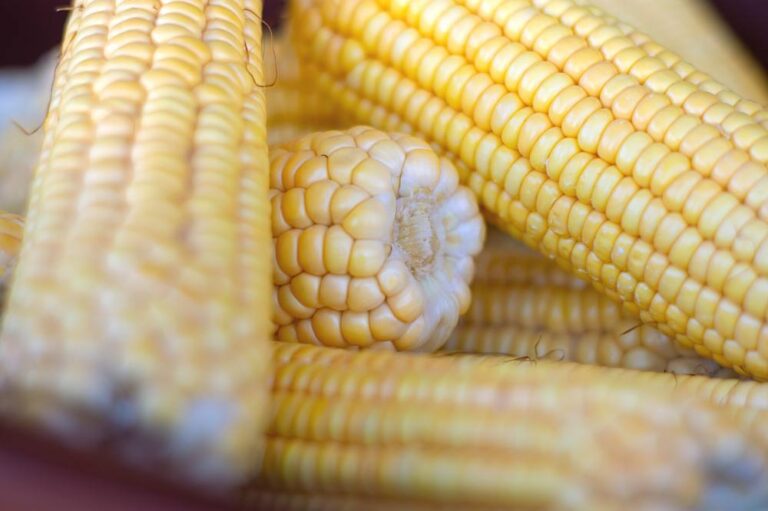 Smoked Corn on the Cob - Legends of the Grill
