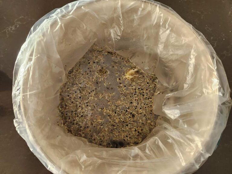 Beer-Brined Turkey: Thanksgiving with a Malty Kick - Legends of the Grill